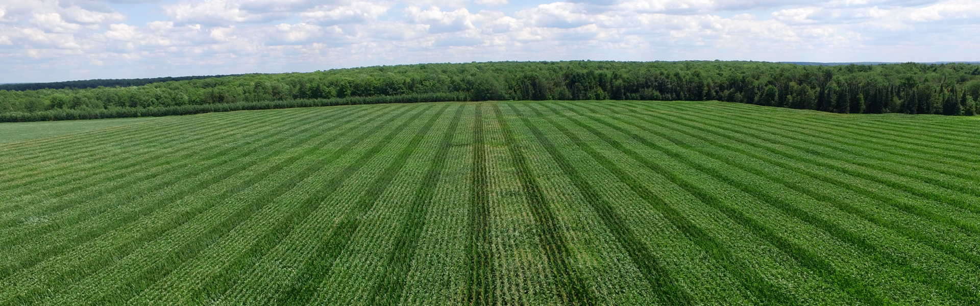 Northside Elevator serves Wisconsin farms Nutrition, Agronomy & Feed
